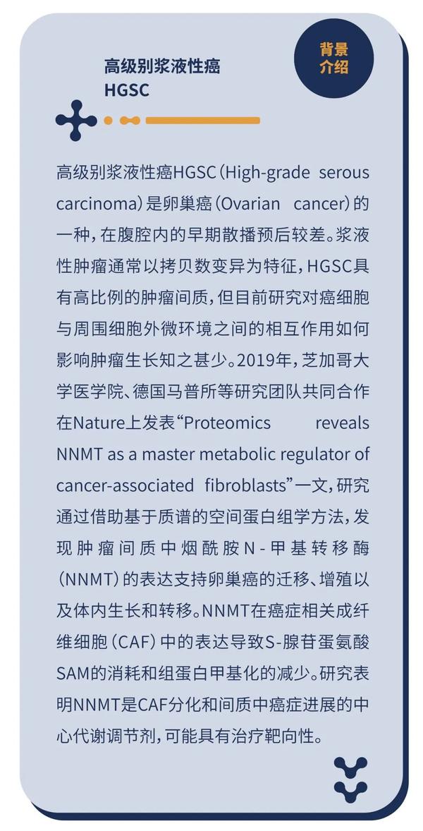 文献解读 | Nature 空间蛋白揭示NNMT是癌症相关成纤维细胞的主要代谢调节因子 - 知乎