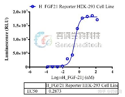 降糖&减重明星靶点：GLP1R/GCGR/GIPR/FGF21 - 知乎