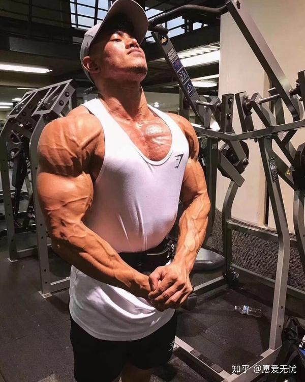 IGF学术研究 - 知乎