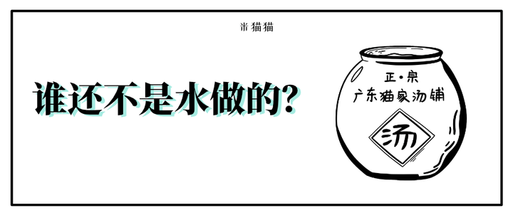 为什么你家的猫要多喝水？ 知乎