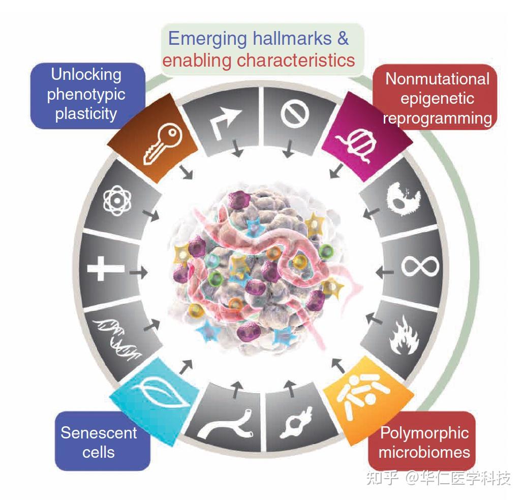 Cancer Discovery：癌症的特征！经典必读综述 - 知乎