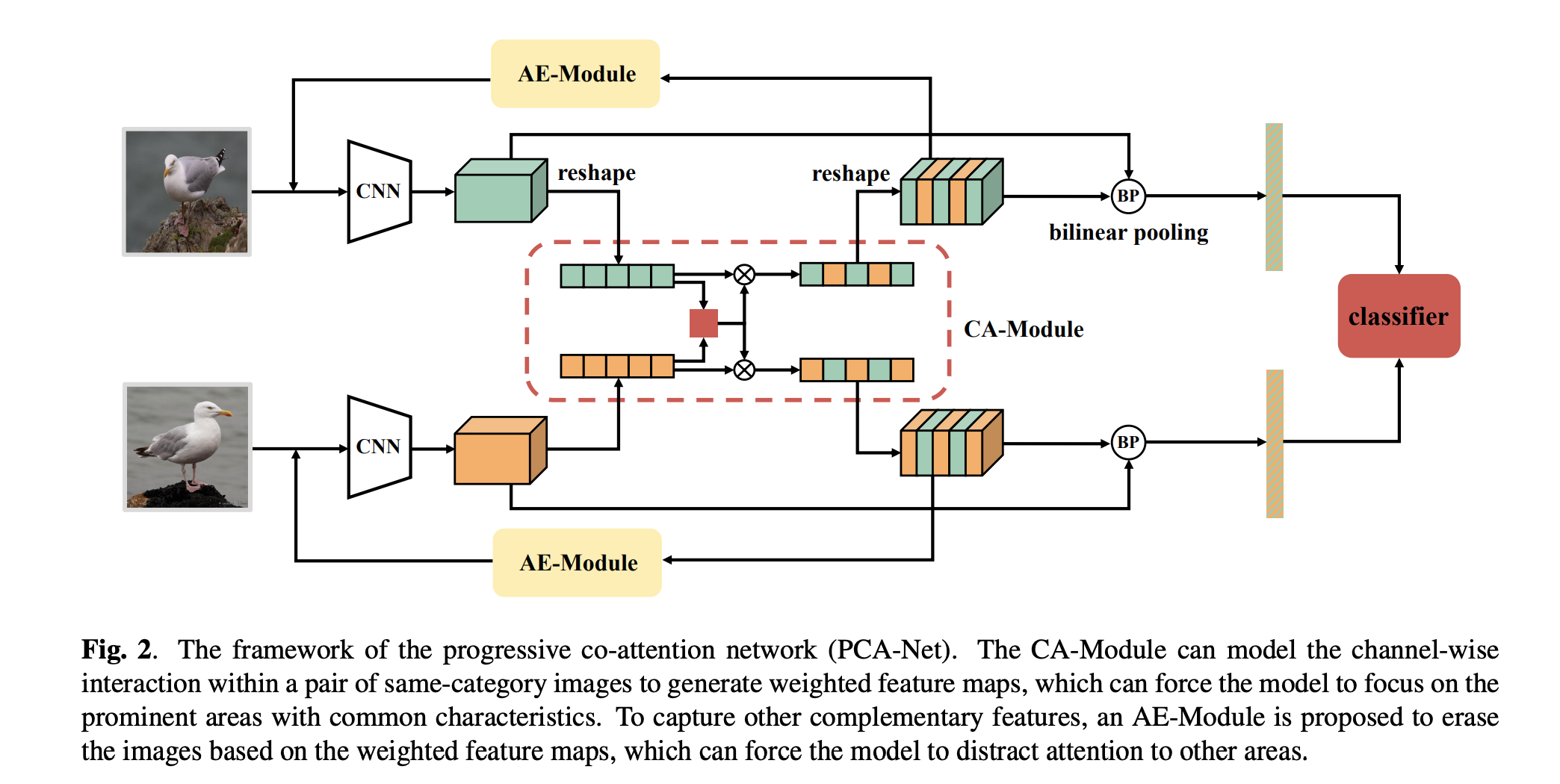 细粒度分类的PCA-Net，渐进式协同注意力机制网络 - 知乎