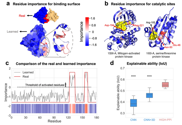 Nat. Commun. | 蛋白质-蛋白质相互作用的层次图学习 - 知乎