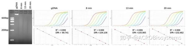 基因治疗中质粒DNA的质量控制 - 知乎