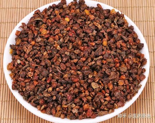 带你识别沙棘 - 知乎