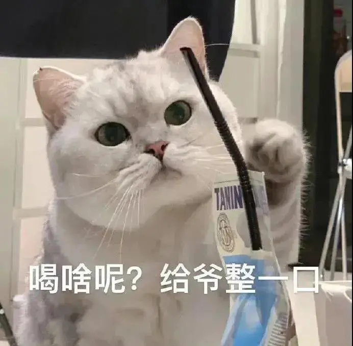 122张可爱的猫猫表情包 - 知乎