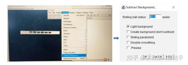 手把手教学——WB条带量化之ImageJ软件分析 - 知乎
