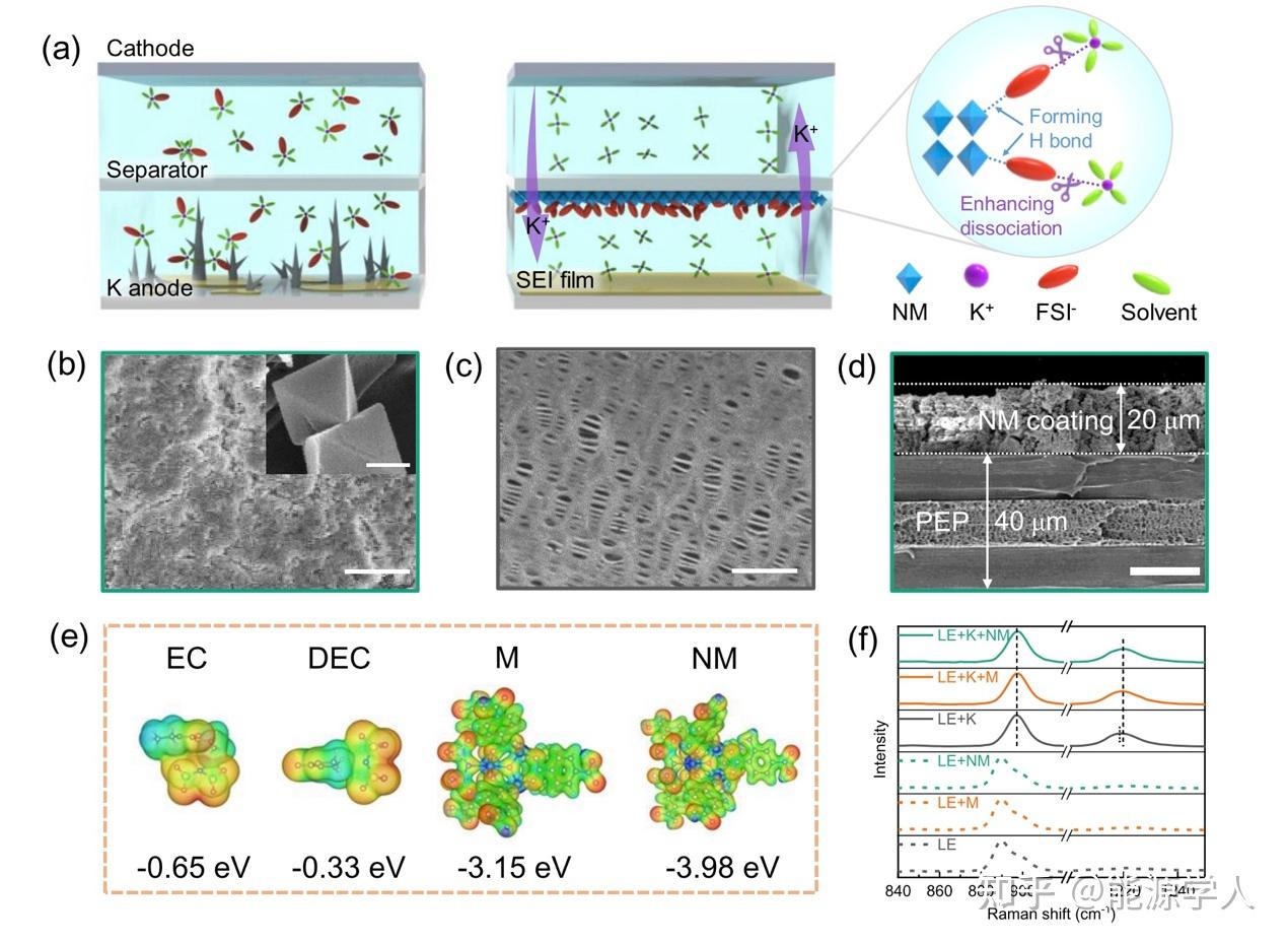 刘金平教授Angew: 钾金属电池用聚烯烃隔膜的界面化学调控 - 知乎