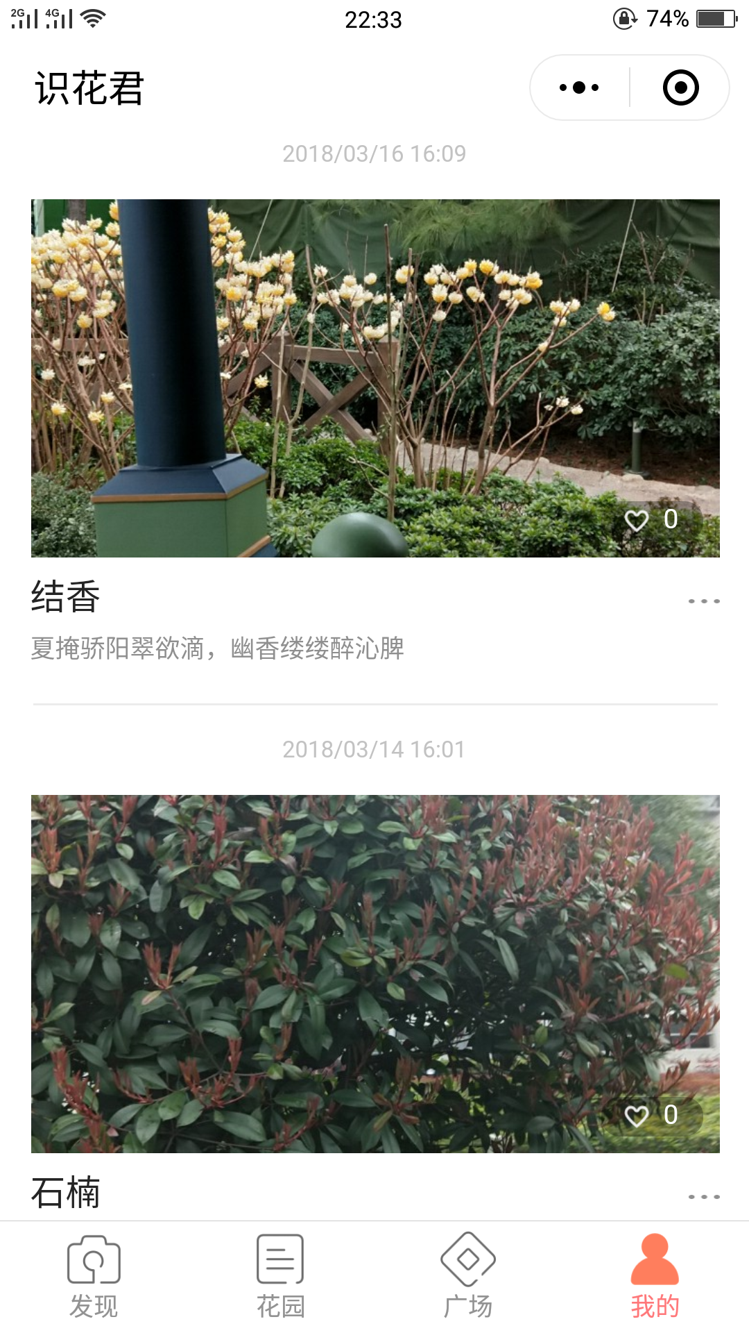 识花君小程序:想知道这是什么花,这样一拍便知 知乎