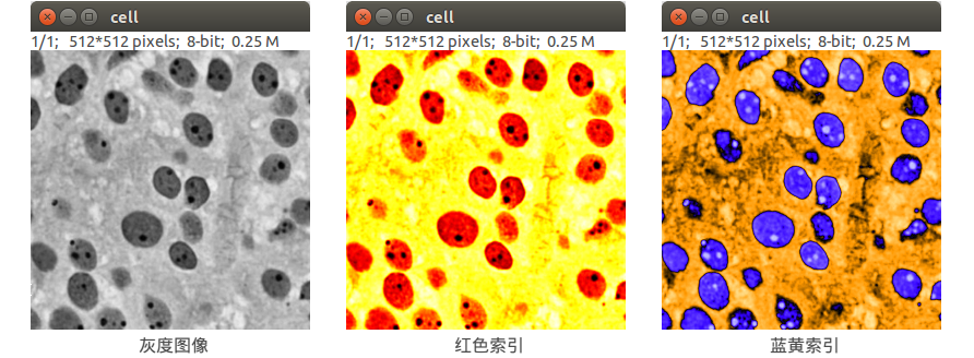 ImagePy教程 —— 相关概念 - 知乎