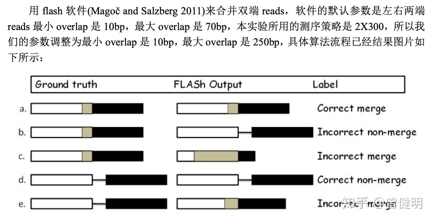 使用igblast进行免疫组库分析 - 知乎