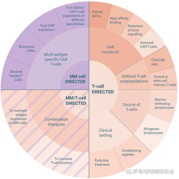 靶向BCMA的CAR-T疗法 - 知乎