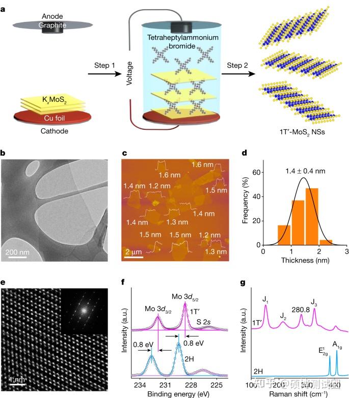 香港城市大学《Nature》：MoS2！ - 知乎