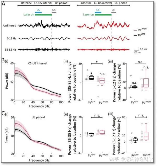 J Neurosci︱陆军军医大学胡波课题组揭示背侧海马小清蛋白阳性中间神经元在联合型运动学习中的作用及其网络活动机制 - 知乎