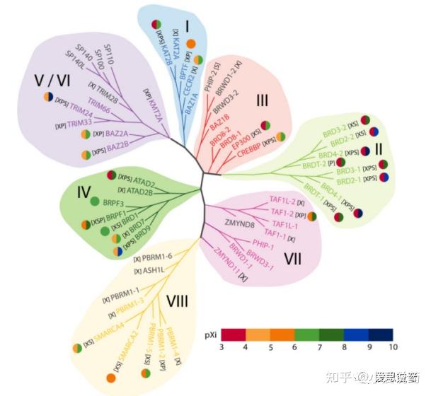 《普创新》探索表观遗传学合成致死新搭档——“SMARCA2/SMARCA4” - 知乎
