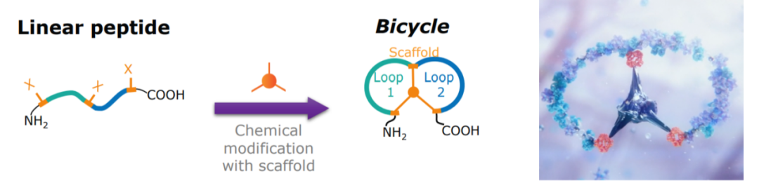 Sudocetaxel Zendusortide进入I期临床，PDC重仓癌症治疗 - 知乎