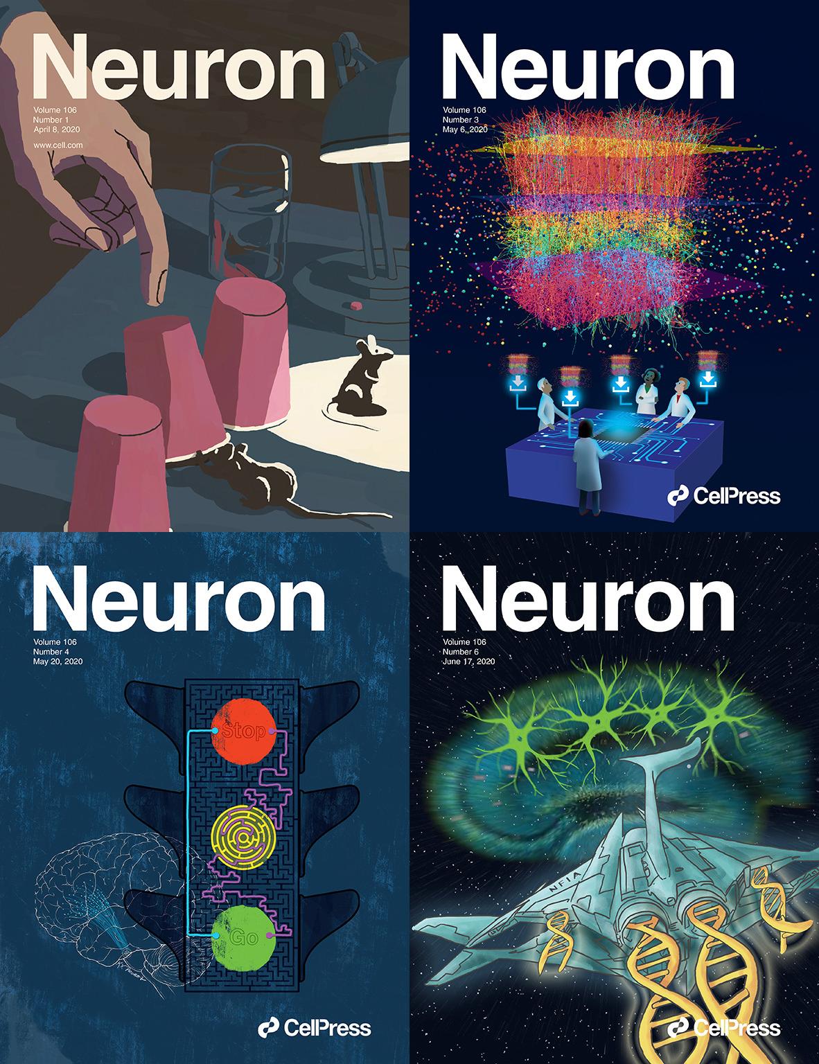 72张《Neuron》精美封面鉴赏丨2019~2021年上半篇 - 知乎