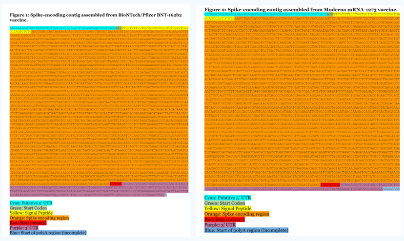 【耀文解读】深度解析mRNA序列元件：Cap, CDS, UTR, polyA - 知乎