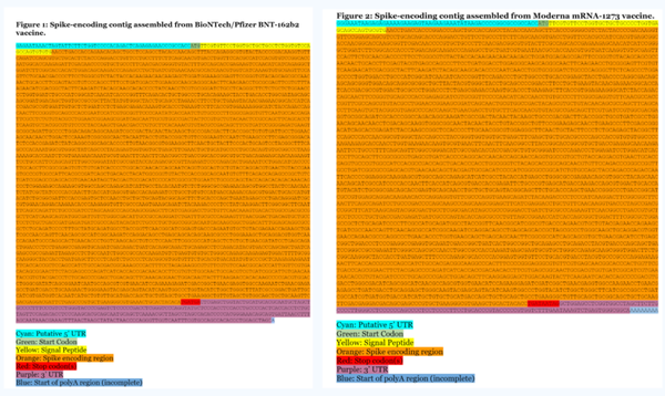 【耀文解读】深度解析mRNA序列元件：Cap, CDS, UTR, polyA - 知乎
