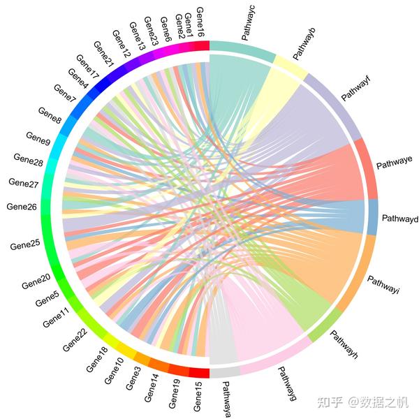 R实用绘图--弦图 / circlize包 - 知乎