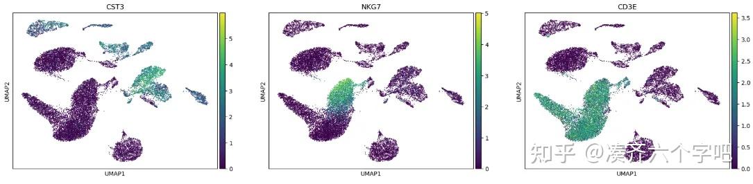 Scanpy分析全流程(含harmonypy整合/细胞周期矫正/双细胞检测及去除) - 知乎