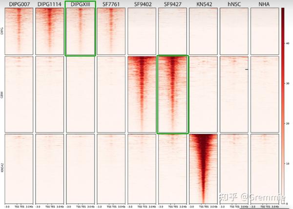 ChIP-seq数据分析全流程实战详解-pHGG的组蛋白修饰分析 - 知乎