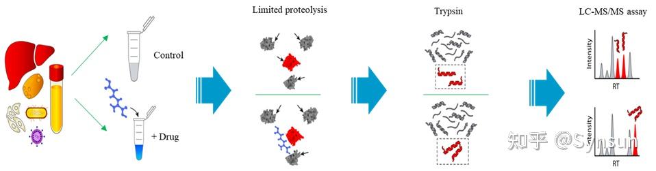 LIP-MS介绍 - 知乎