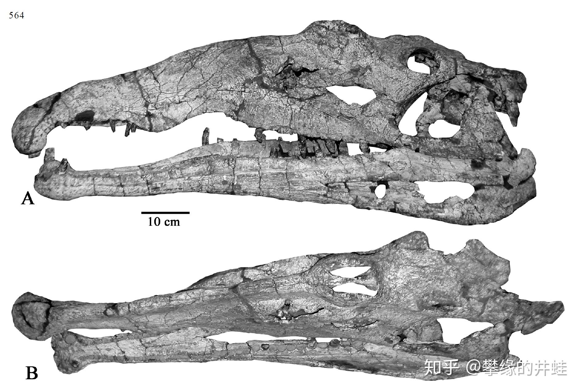 【地球演义】第二百六十三回 九龙颂6：一双碧眼莹秋潭 - 知乎