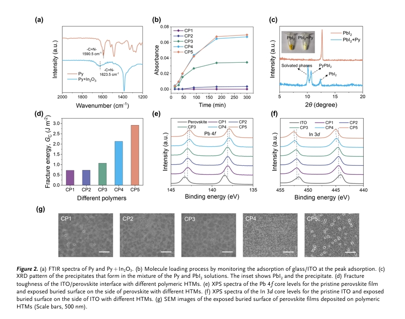 华工吴永真&徐益升最新Angew：PCE 26.21%！可锚定聚合物助力高效倒置PSCs实现超薄且坚固的空穴传输层 - 知乎
