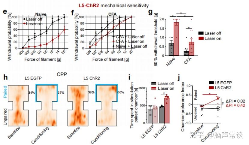 初级体感觉皮层双向调节感觉增益和伤害行为 - 知乎