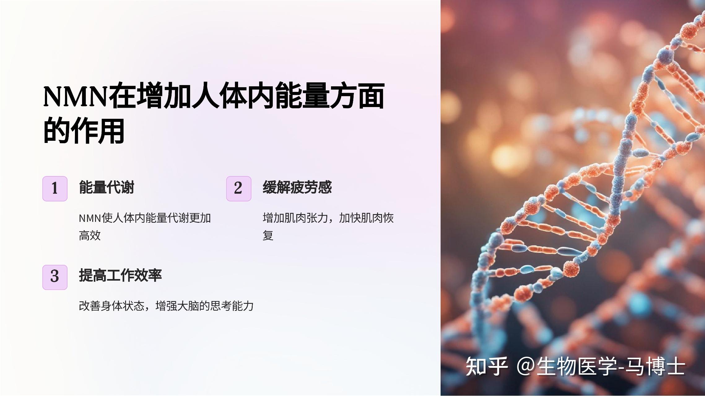 NMN与线粒体之间的联系 - 知乎