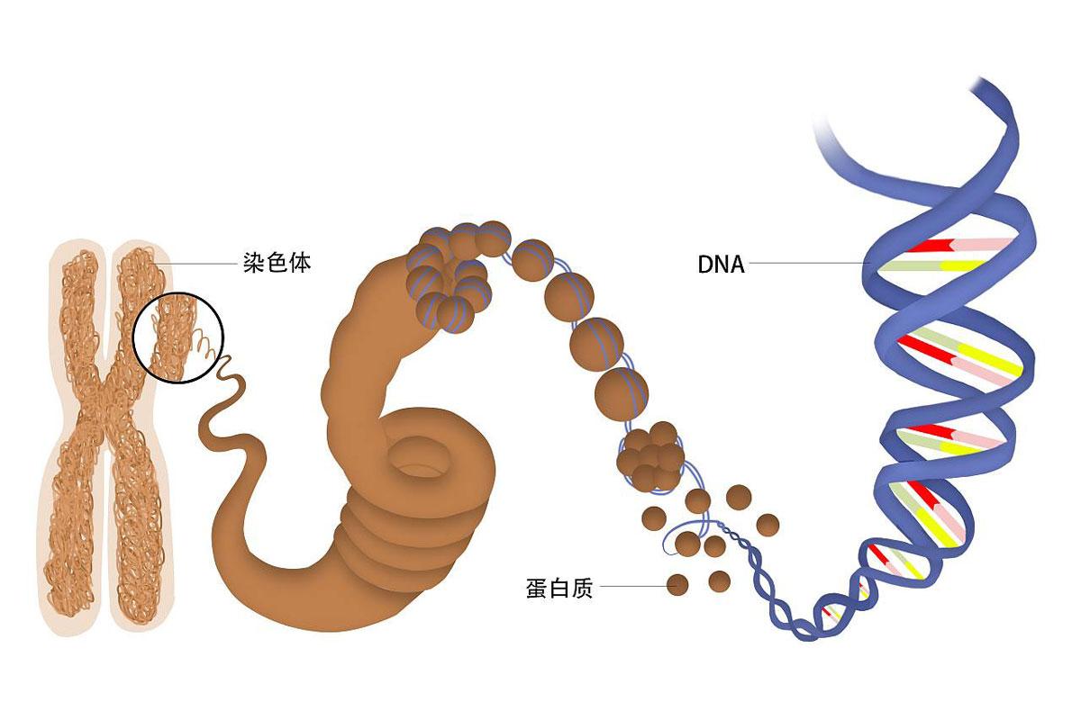 纵横华媒健康：香菜党PK反香菜党 - 知乎