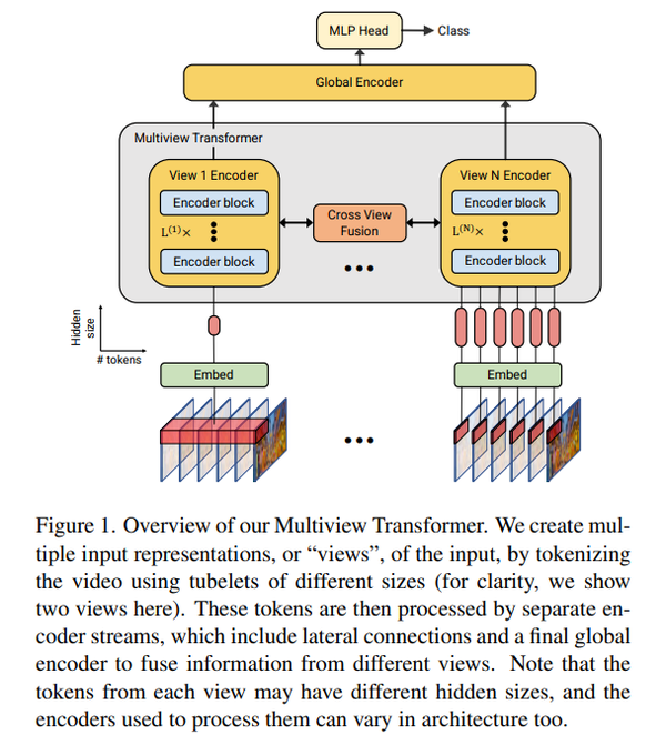 多尺度 多视图：MMViT: Multiscale Multiview Vision Transformers - 知乎