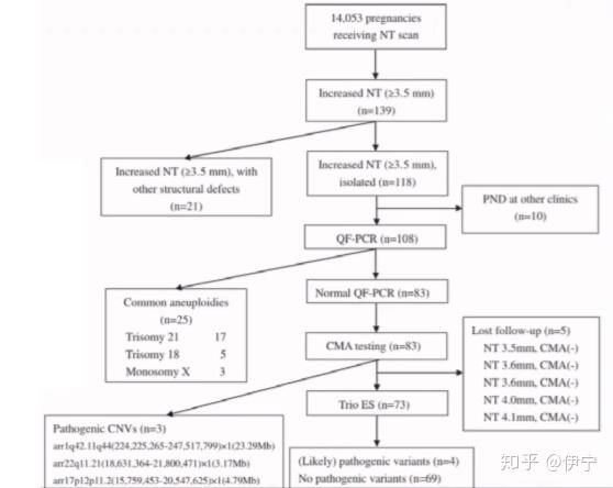 胎儿NT增厚，大半可能为虚惊一场 - 知乎