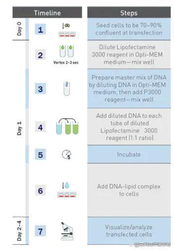 LIP3000和LIP2000的区别有哪些？ - 知乎