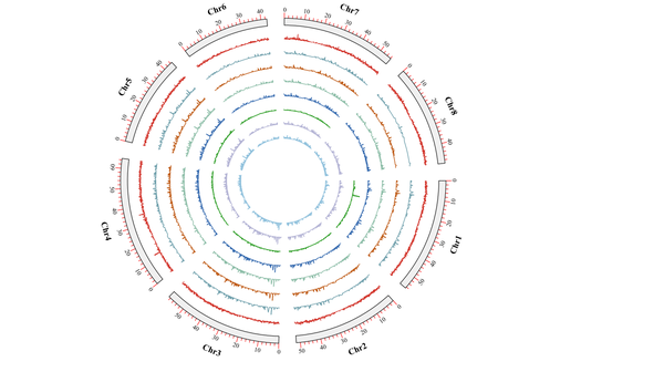 绘制Circos基因圈图 - 知乎