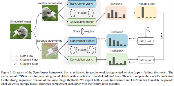 【论文阅读】《Semi-supervised Vision Transformers》 - 知乎