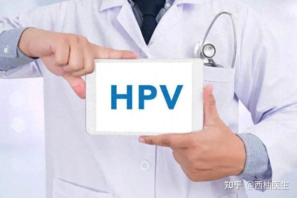 Hpv中医怎么治疗?传统中医药在hpv感染防治中的应用 知乎