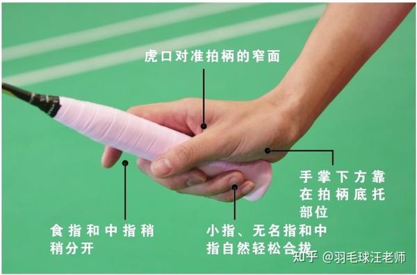 羽毛球基础篇1【握拍】 知乎