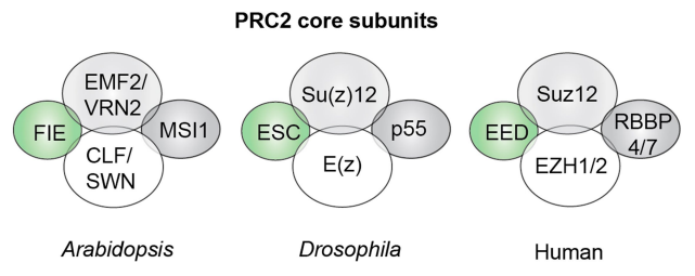 一篇让你在信号通路网络学习上迅速进阶的Nature！ - 知乎