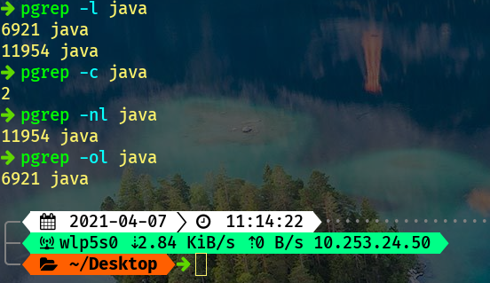 Linux pgrep命令 - 知乎
