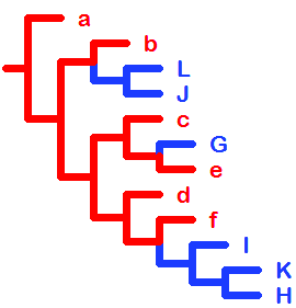 TNT学习笔记（Tree Analysis Using New Technology）-1 - 知乎