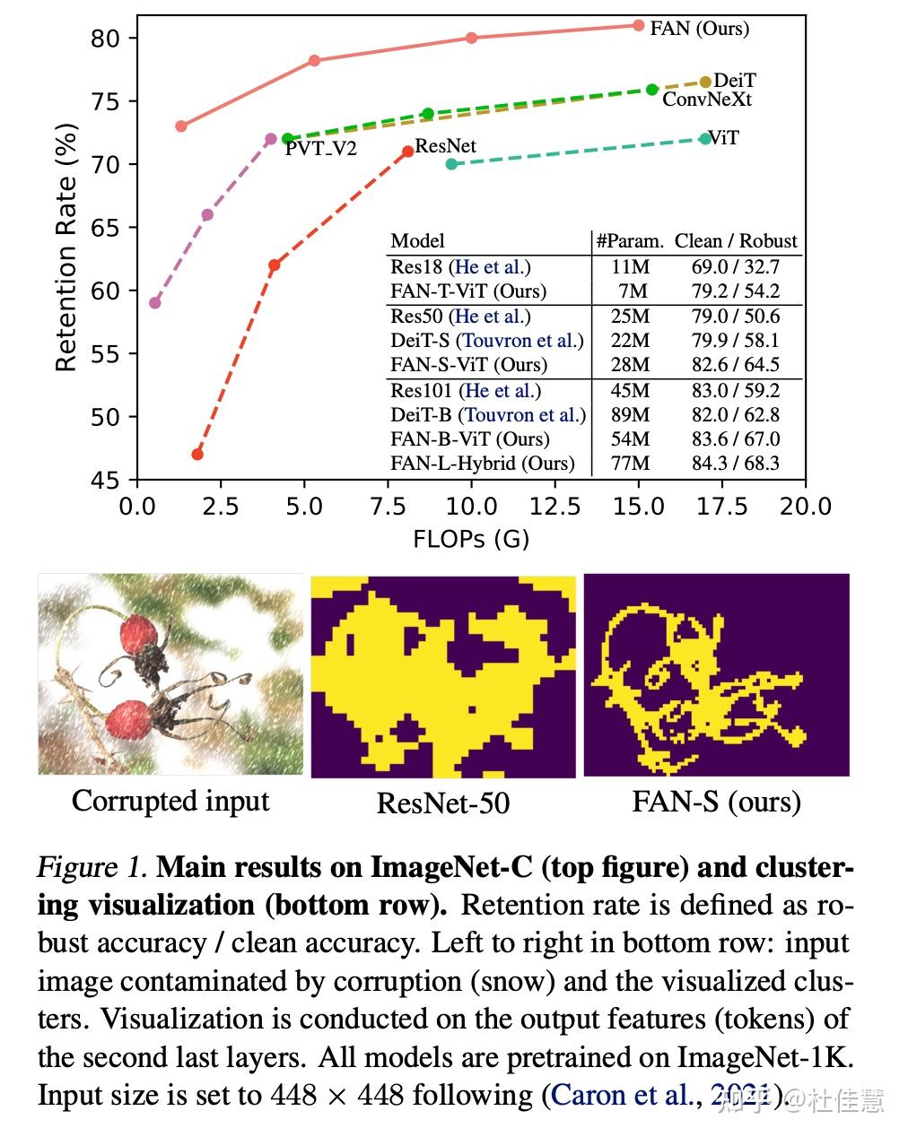 Understanding The Robustness in Vision Transformers - 知乎