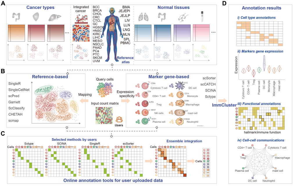 NAR︱ImmCluster：集成的免疫细胞类型注释及分析平台 - 知乎