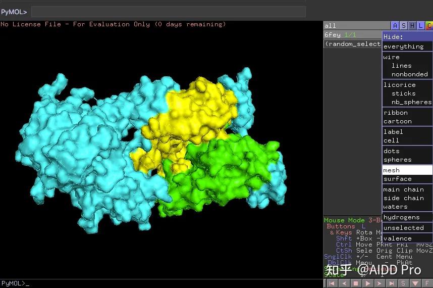 PyMOL：您真正需要知道的 10 个非常基本的命令【04】 - 知乎