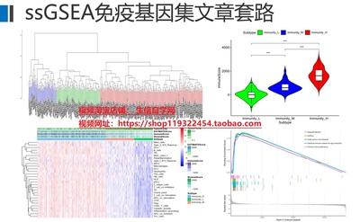 基于ssGSEA（单样本GSEA）的免疫基因集文章套路 - 知乎