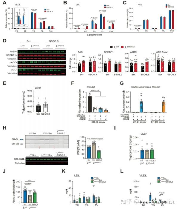 代谢学人--Nature Metabolism：胆固醇代谢紊乱，RBFOX2来理清 - 知乎