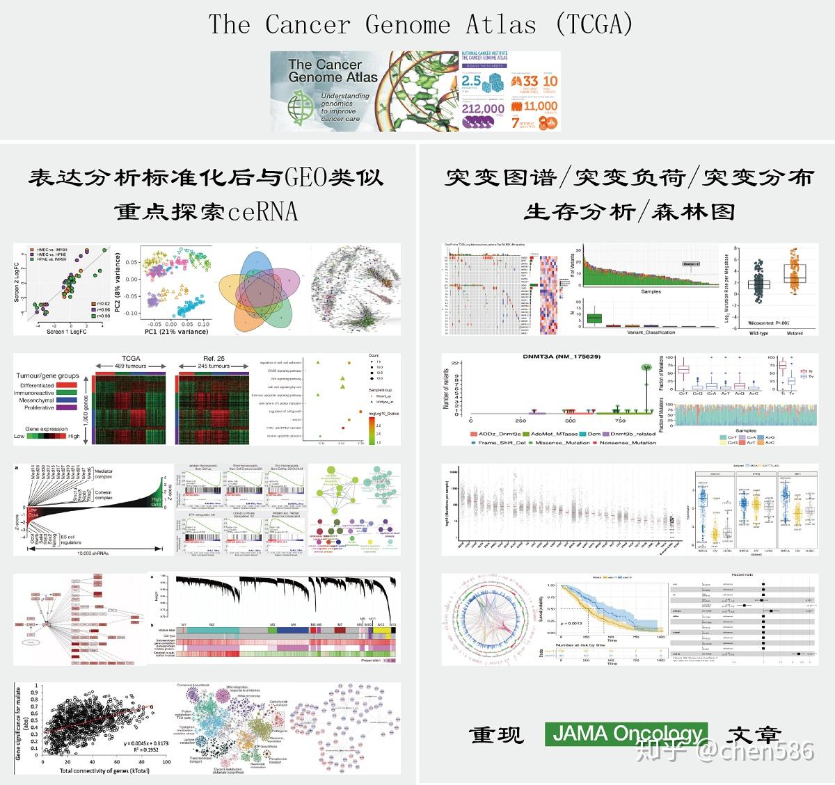 GEO/TCGA公共数据挖掘培训 - 知乎
