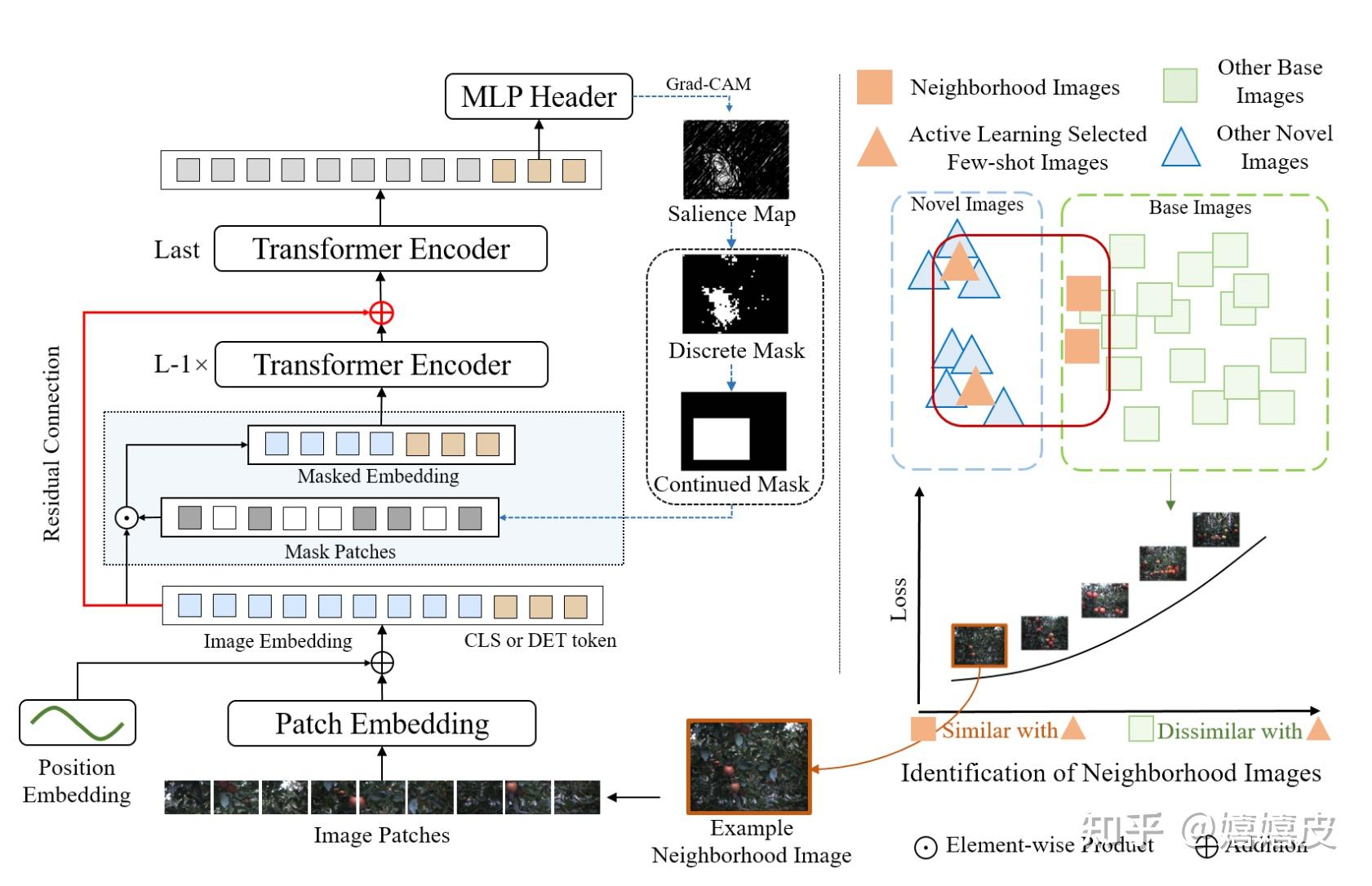 关于Few-Shot图像分类任务中的Transformer的小记录 - 知乎