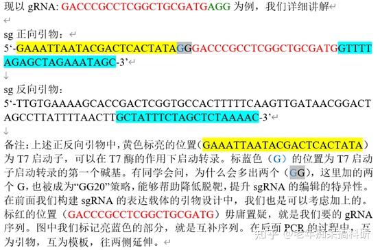sgRNA的体外转录: 转录引物设计、模板制备、以及转录产物的回收 - 知乎